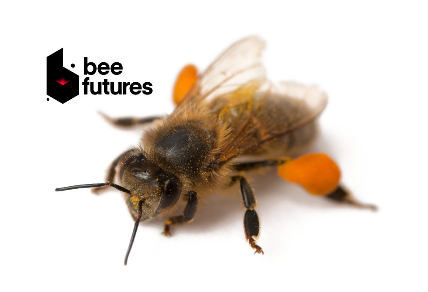 beefutures.io • Bee Health Augmented