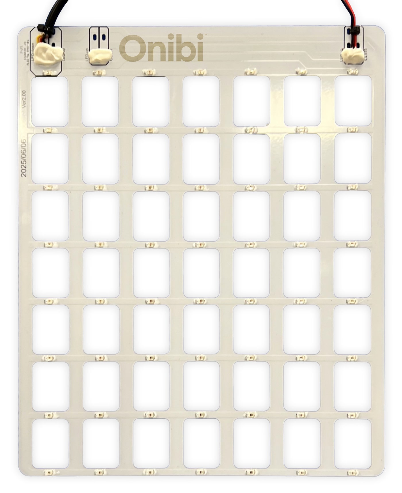 Onibi Light • Bee Health Augmented